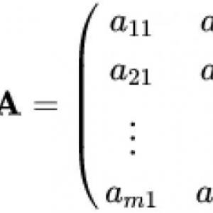 Matemáticas: Matrices - Elementos de Matrices