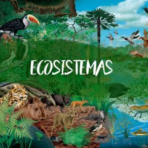 Ecosistemas - Memorias - Juego educativo - Medio ambiente - Mobbyt