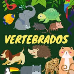 CLASIFICACIÓN DE LOS VERTEBRADOS - Duchazos - Juego educativo - Cultura ...