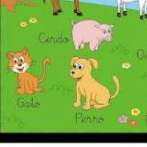Animales de mi comunidad - Historietas - Juego educativo - Literatura ...