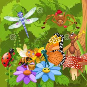 Ciencias: Encuentra a los insectos escondidos