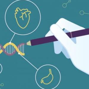 ¿que tanto sabes de la genética? - Duchazos - Juego educativo ...