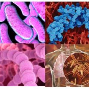 Bacterias Gram+ - Multinivel - Juego educativo - Salud - Mobbyt