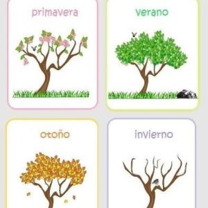 LAS ESTACIONES Y EL CLIMA - Ocas - Juego educativo - Biología - Mobbyt