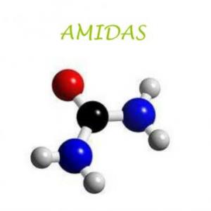 amidas - Trivias - Juego educativo - Ciencias - Mobbyt