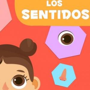 los sentidos del cuerpo humano - Duchazos - Juego educativo - Biología ...