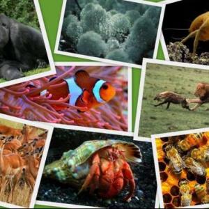 BIOMAS, ECOSISTEMAS Y AREAS PROTEGIDAS DEL ECUADOR - Multinivel - Juego ...