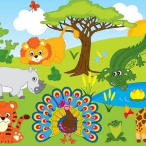 Ciencias: Ciencias Plantas y animales - Plantas y animales