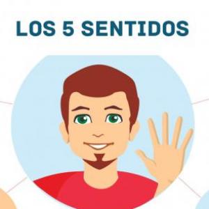 los 5 sentidos - Memorias - Juego educativo - Ciencias - Mobbyt