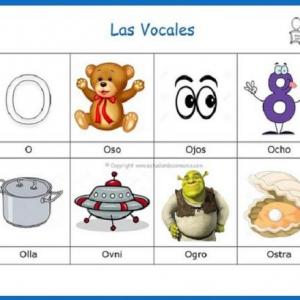 Memoria de palabras con O - Memorias - Juego educativo - Lengua - Mobbyt