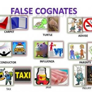 False Cognates or Friends - Trivias - Juego educativo - Lengua - Mobbyt