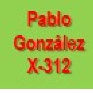 Pablo González Concejal X-312 - Memorias - Juego educativo - Cultura ...