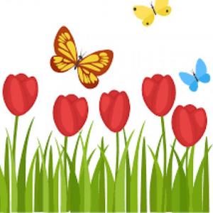 SPRING MEMORY GAME - Memorias - Juego educativo - Idiomas - Mobbyt