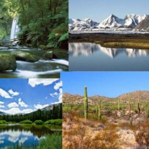 Geografía: Regiones Naturales - region bosque natural