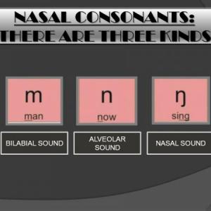 NASAL CONSONANT SOUNDS - Ocas - Juego educativo - Idiomas - Mobbyt