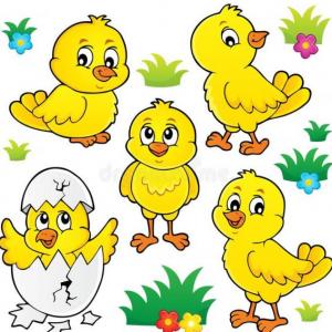 Literatura: CINCO POLLITOS. - Pollitos