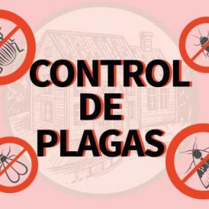 Poe Control De Plagas Multinivel Juego Educativo Ciencias Mobbyt